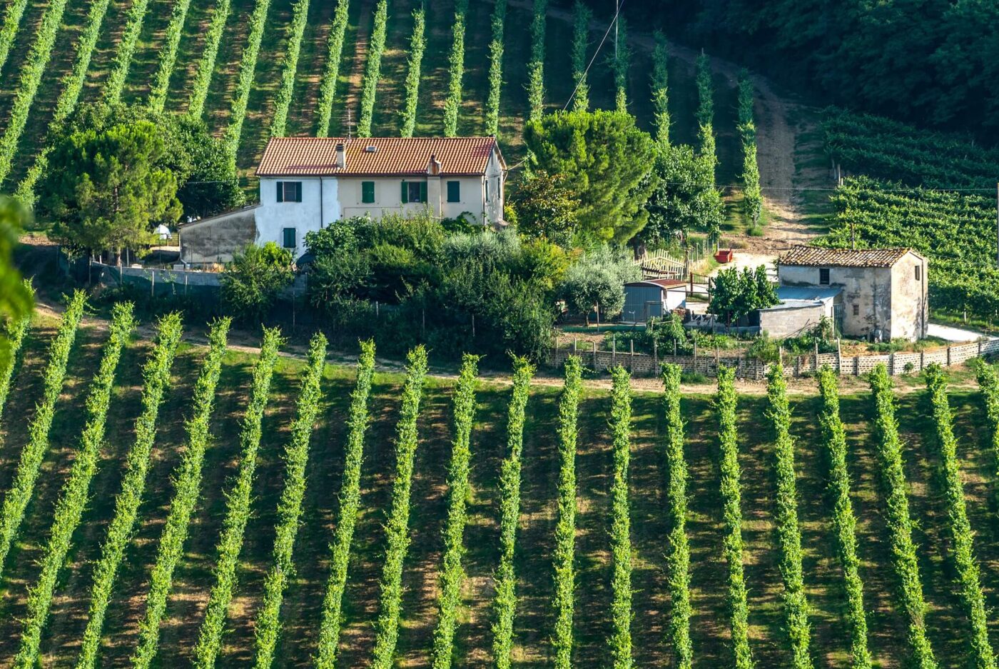 How to Find the Best Italian Agriturismo - Tried, Tested & Reviewed by ...